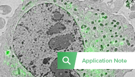 Download application note on Integrated SR CLEM