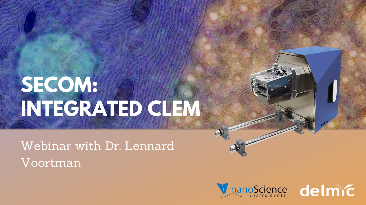 Correlative light and electron microscopy fundamentals