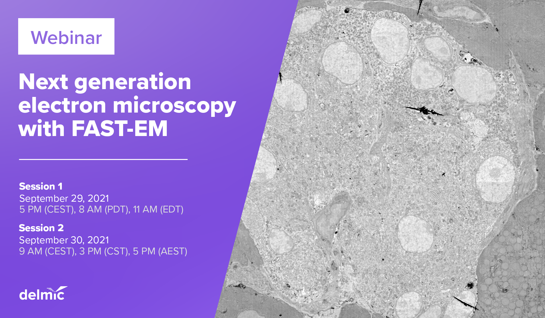 Tailoring staining protocols to electron microscopy workflows