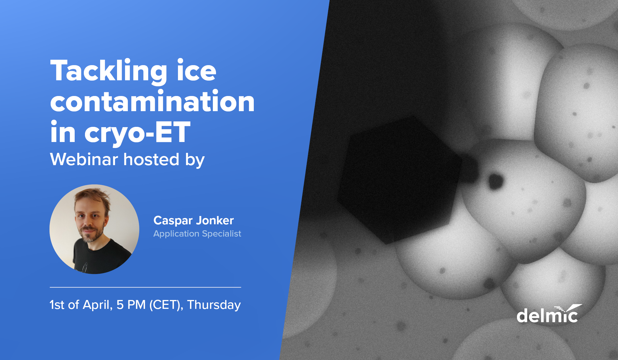 Preventing ice contamination in the cryo-ET workflow